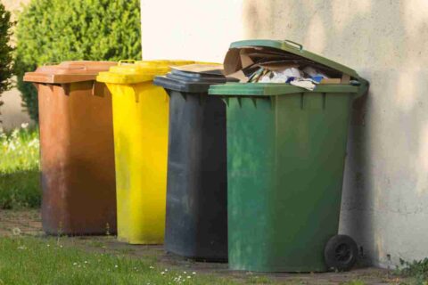 Poubelle verte : guide complet des déchets autorisés et interdits