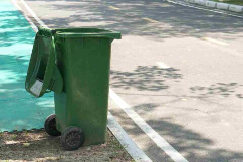 Poubelle verte : guide complet des déchets autorisés et interdits